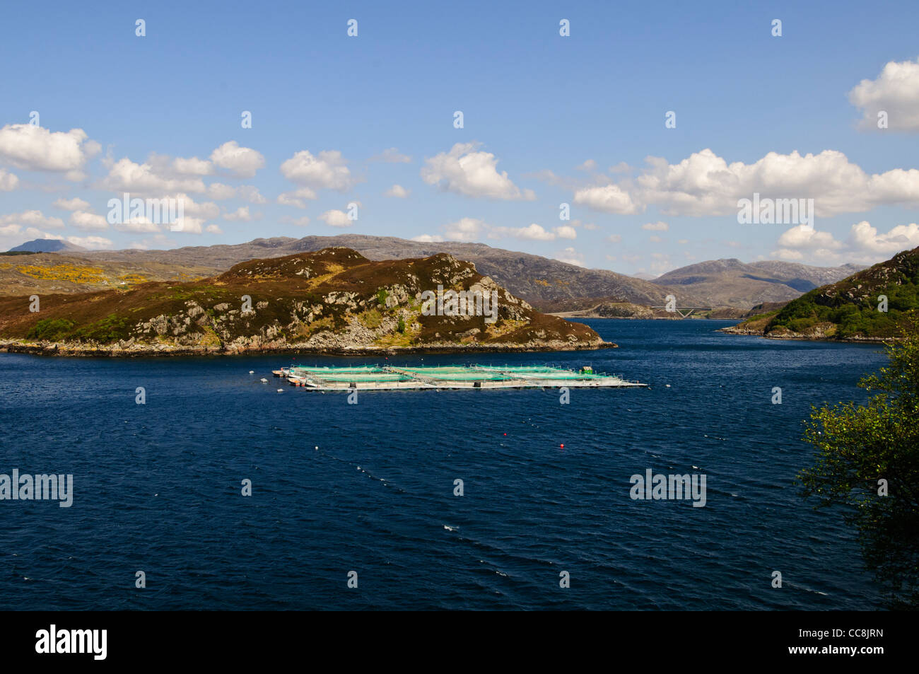 Nedd is a small village,which lies on the western head of Loch Nedd in ...