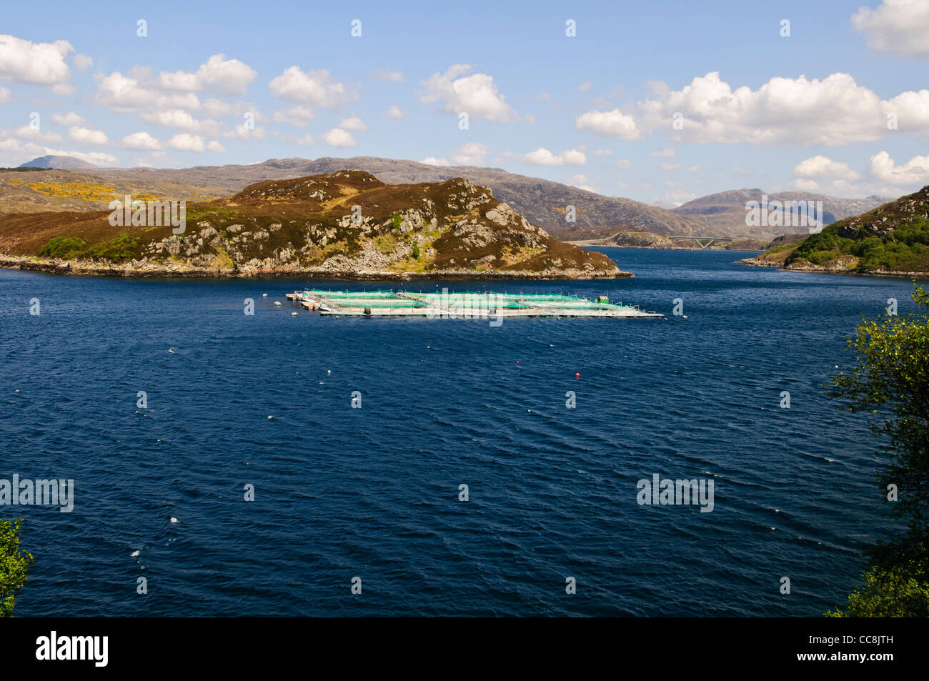 Nedd is a small village,which lies on the western head of Loch Nedd in ...