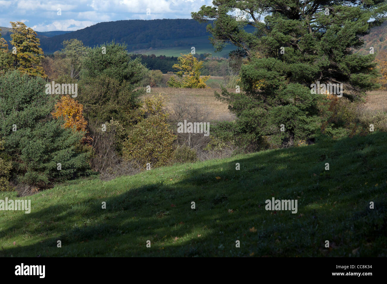 rural landscape country landscape hills and trees hillside Stock Photo ...