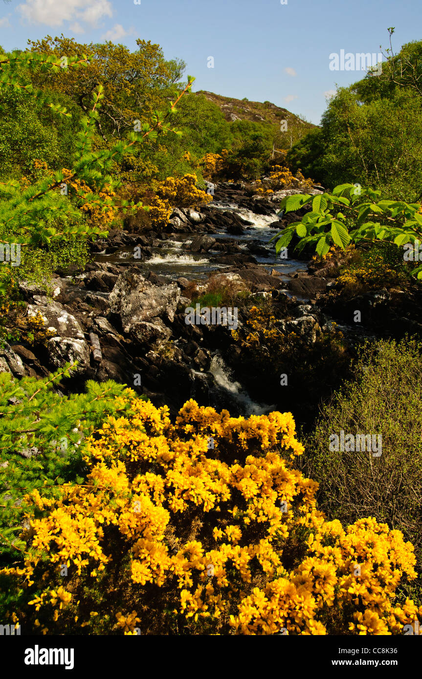 Inchnadamph hotel hi-res stock photography and images - Alamy