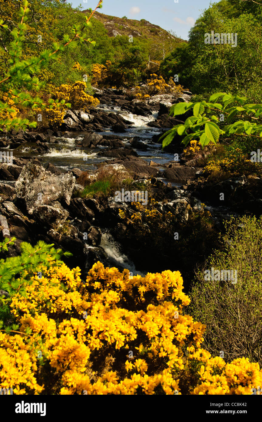 Inchnadamph River, A894 South,Inchnadamph is a hamlet in Assynt ...
