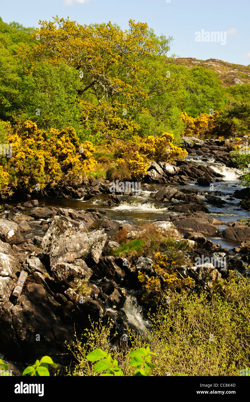 Inchnadamph River, A894 South,Inchnadamph is a hamlet in Assynt ...