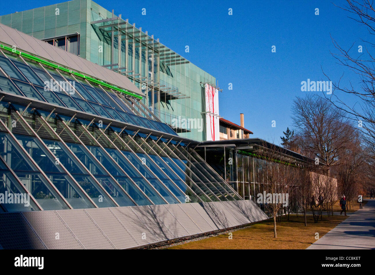 New Exhibit Explains How Isabella Stewart Gardner Amassed