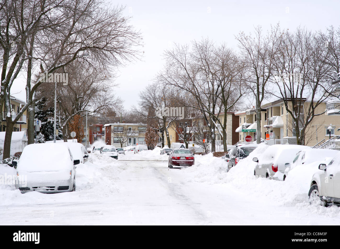 Snow storm aftermath in winter Montreal, Quebec, Canada Stock Photo - Alamy