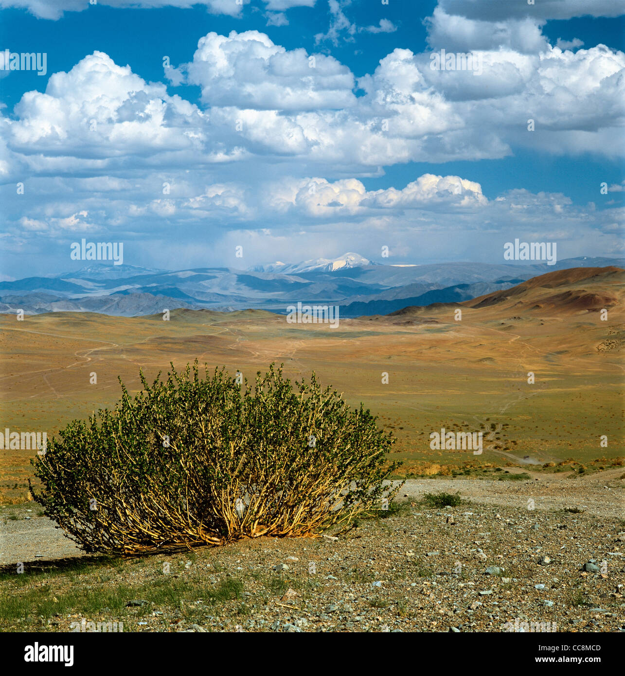 Bayan ulgii hi-res stock photography and images - Alamy