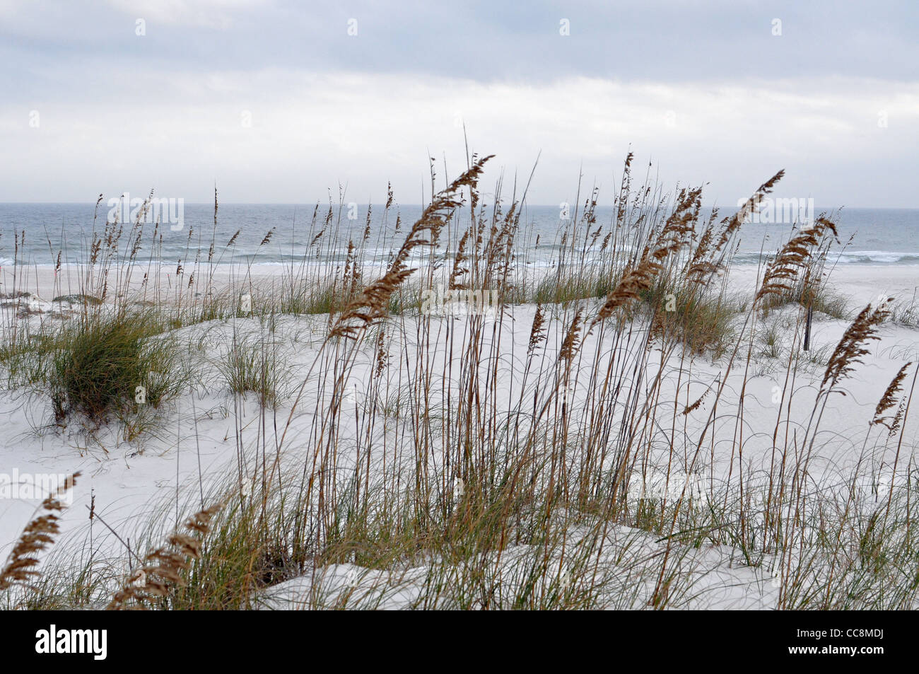 Waves tropical storm hi-res stock photography and images - Alamy
