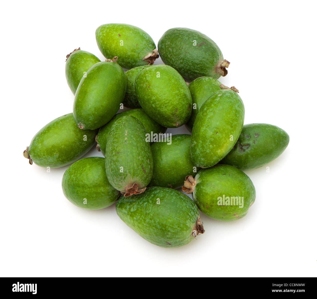 Close up photo seasonal Cut Out Stock Images & Pictures - Alamy