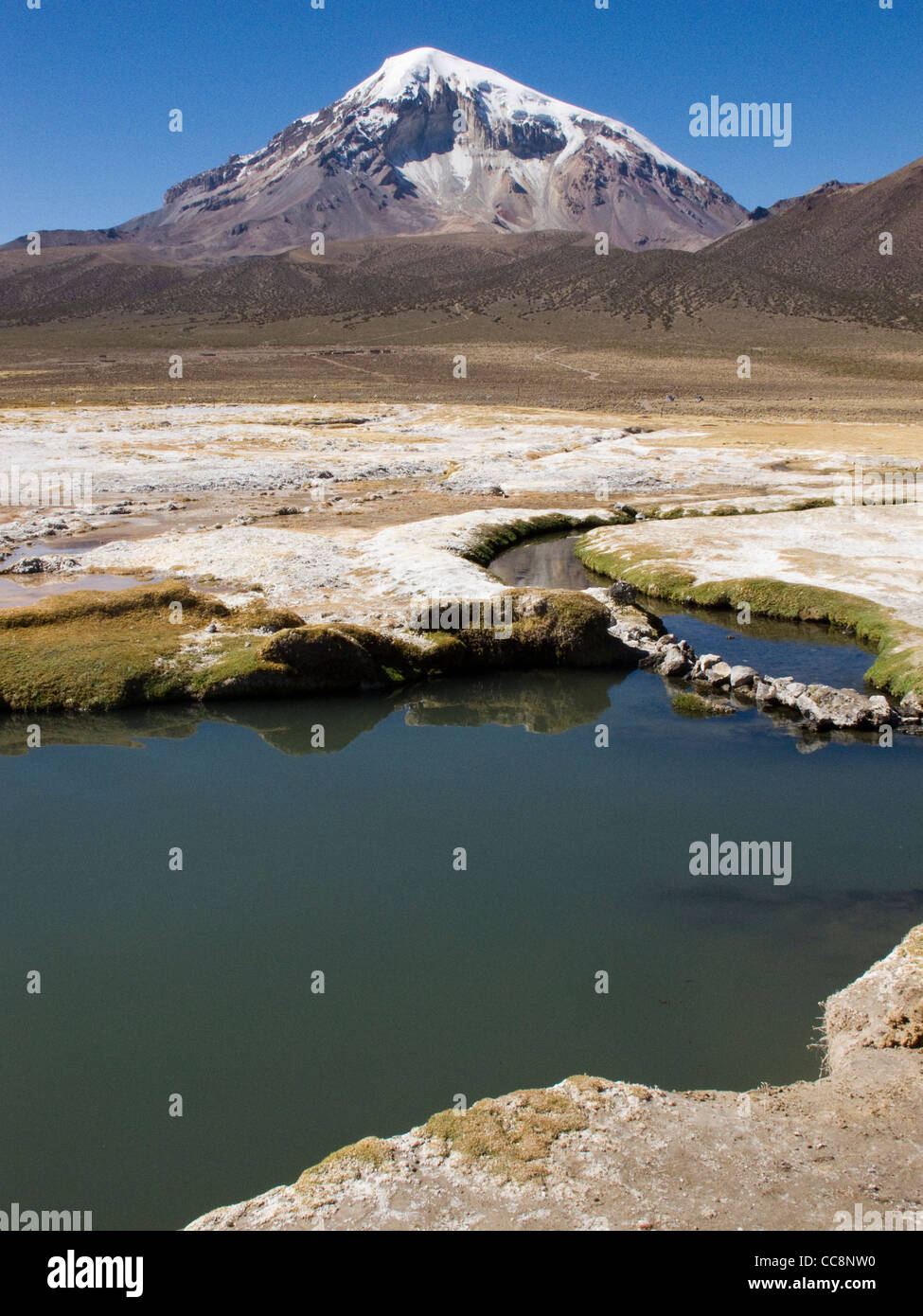 Mount Sajama, Bolivia Stock Photo - Alamy