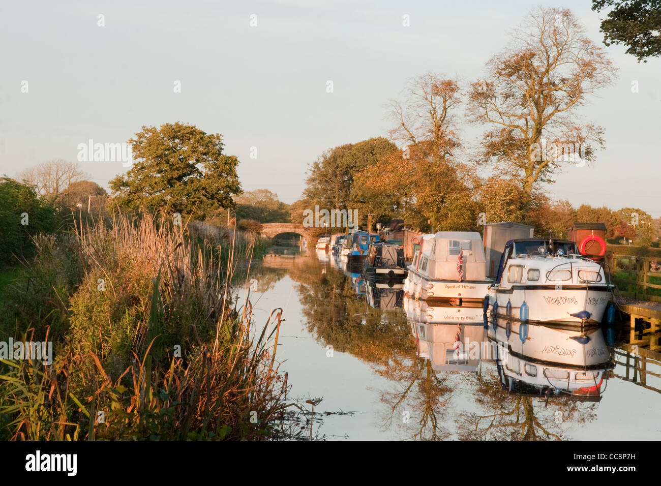 Warm evening sunshine bathes the Lancaster Canal at Eaves, near Preston ...