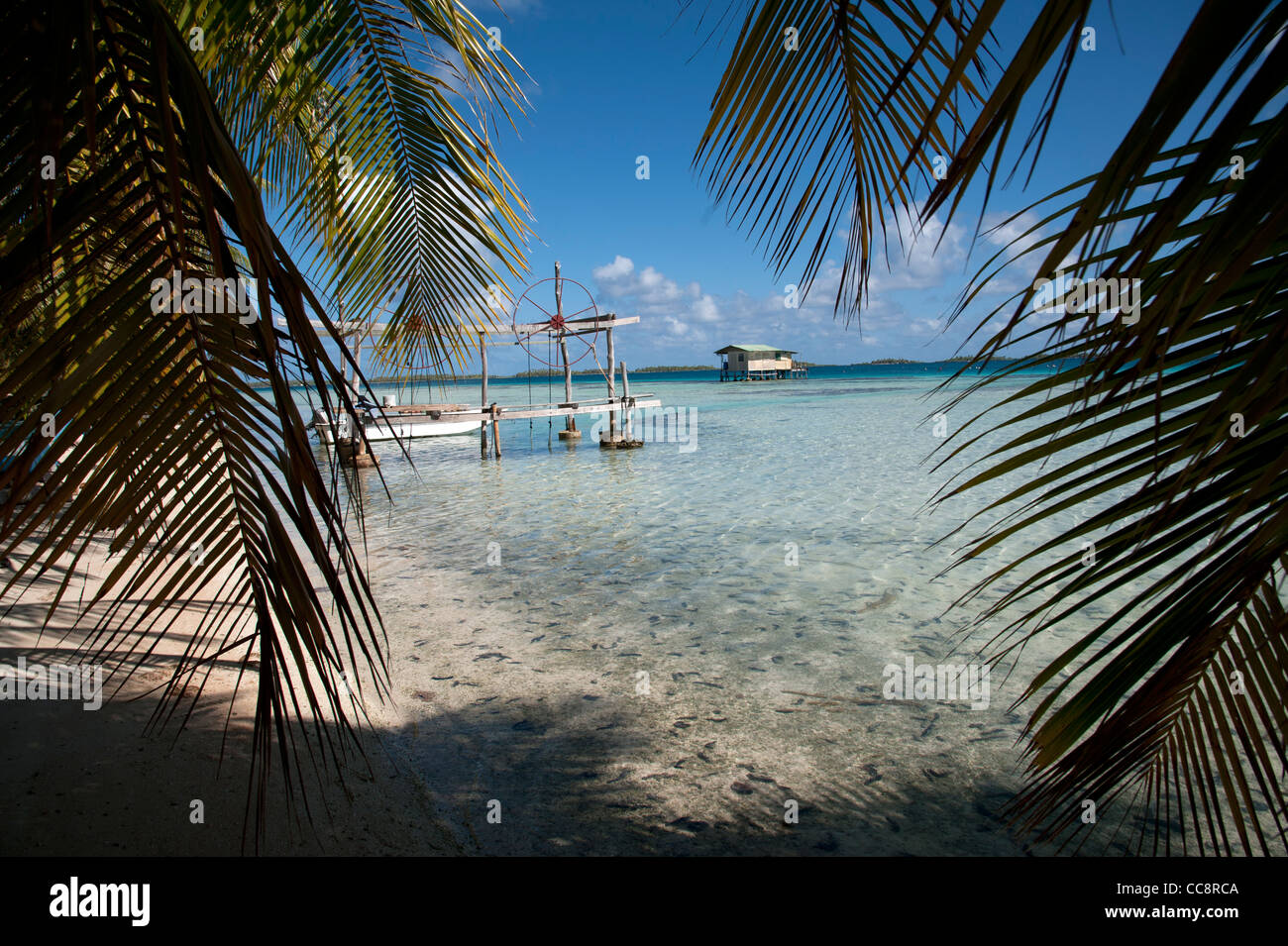 French polynesia pearl oysters hi-res stock photography and images - Alamy