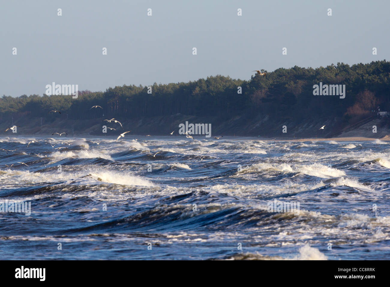 Baltic storm hi-res stock photography and images - Alamy