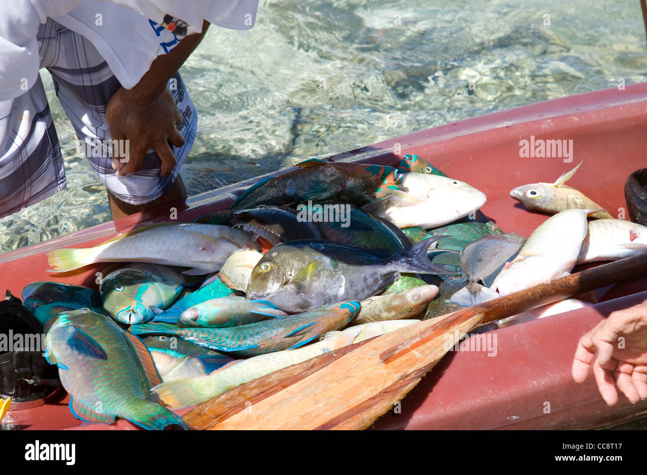 French poissons hi-res stock photography and images - Alamy