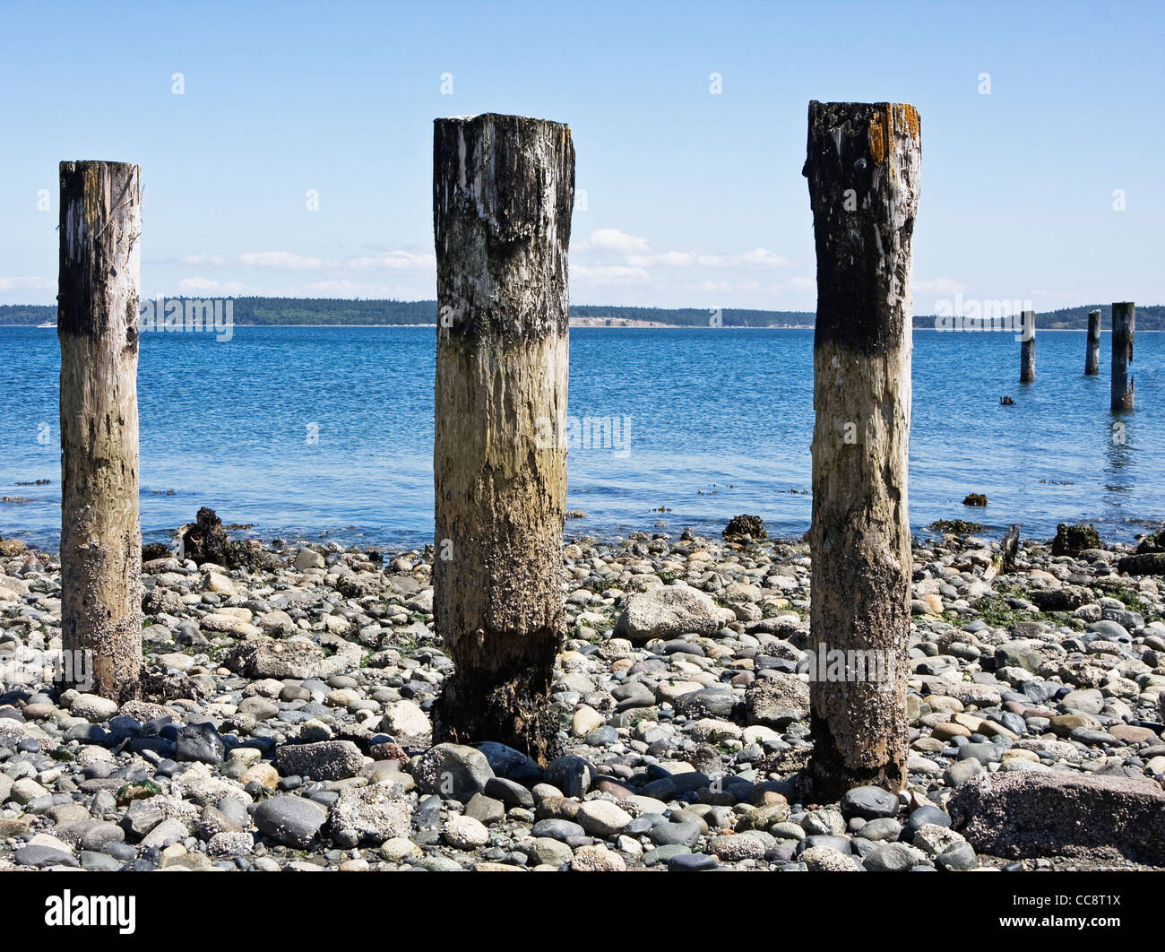 standing pillars from torn down pier at waterfront Stock Photo - Alamy