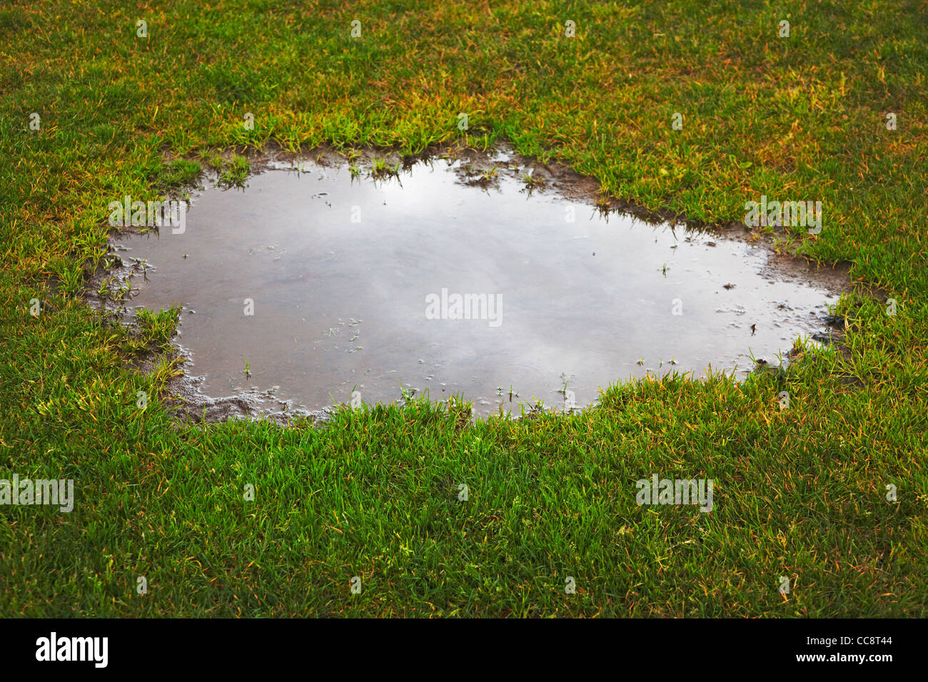 puddle reflecting clouds in sky Stock Photo - Alamy