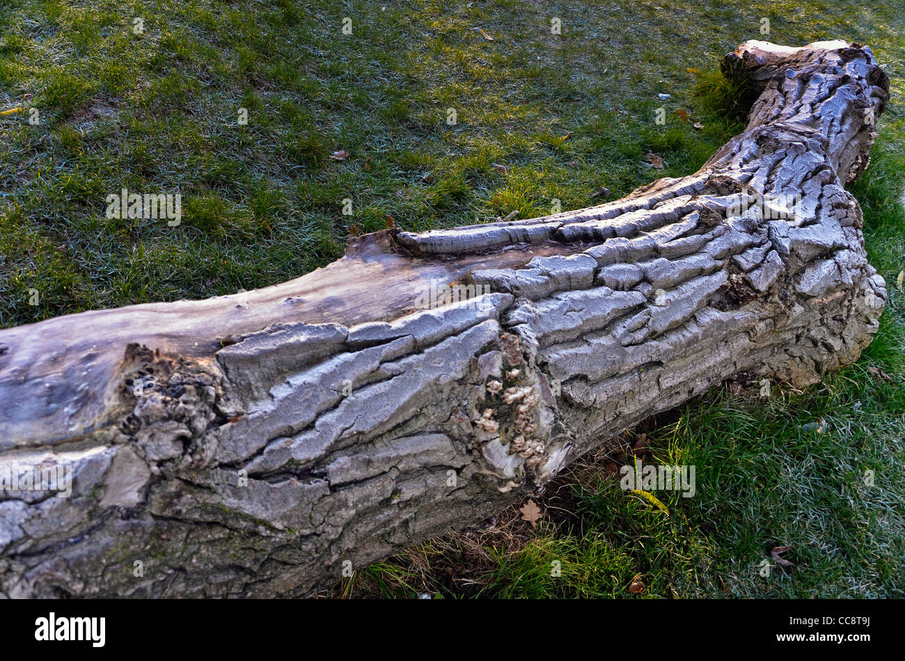 Rising frost hi-res stock photography and images - Alamy