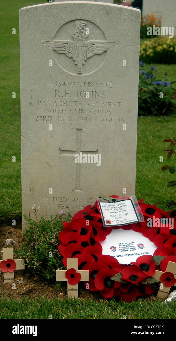Royal British Legion poppy Stock Photo - Alamy