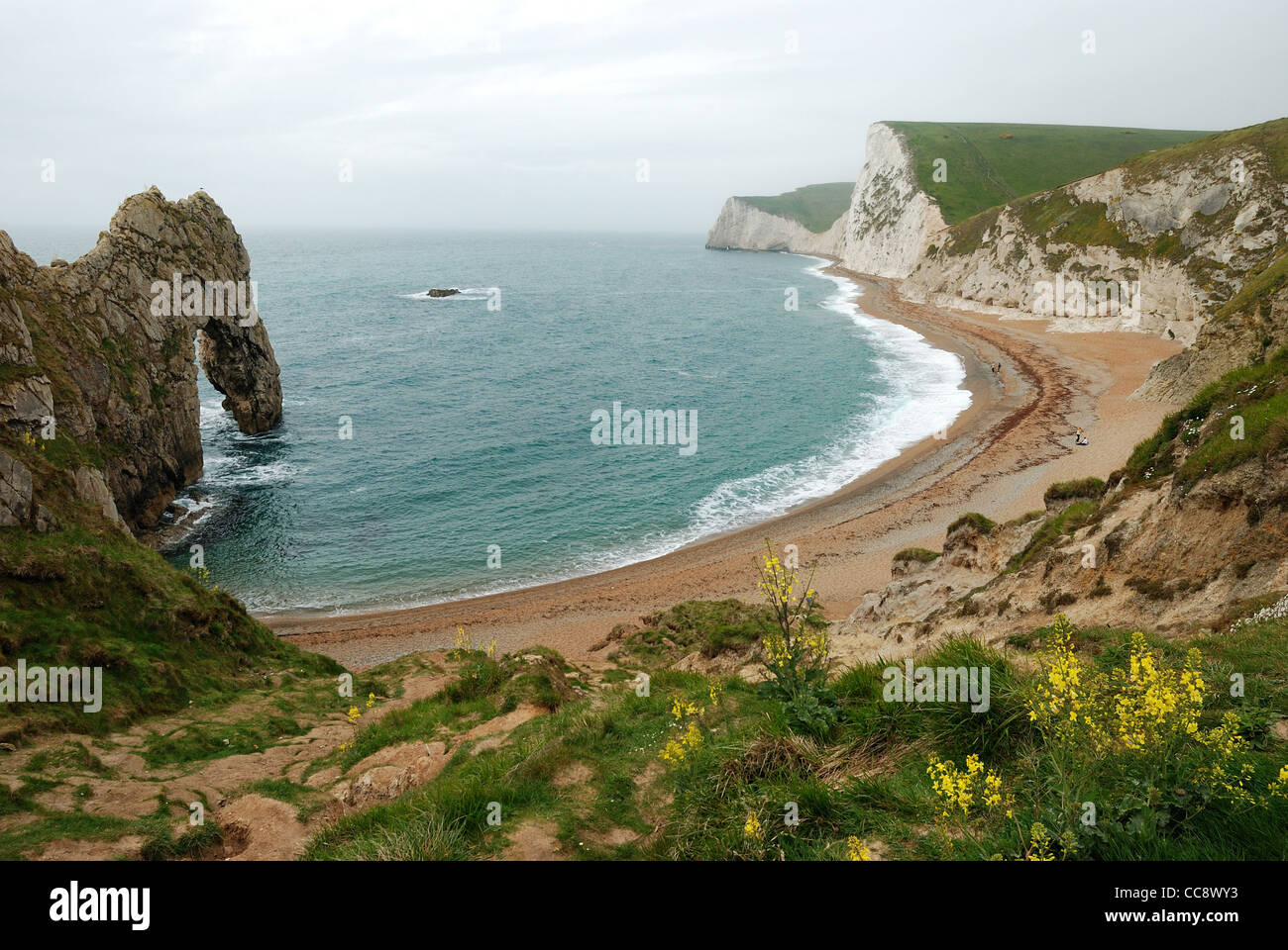 durdle door beach dorset england uk Stock Photo - Alamy