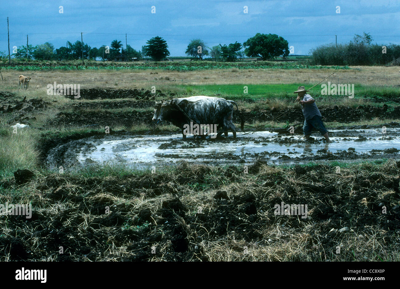 Ploughing methods hi-res stock photography and images - Alamy