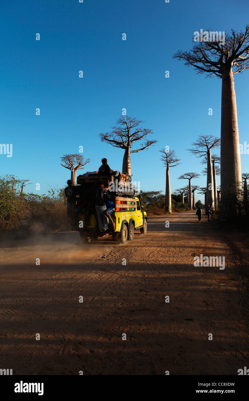 A fully loaded yellow jeep driving on a dusty road through the middle ...