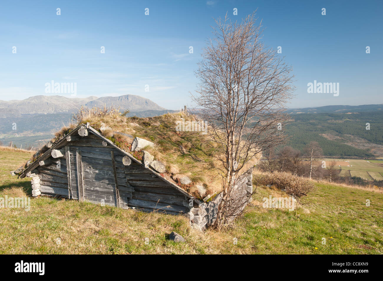 Typical norwegian hut with grass growing on the roof, Hemsedal Stock ...