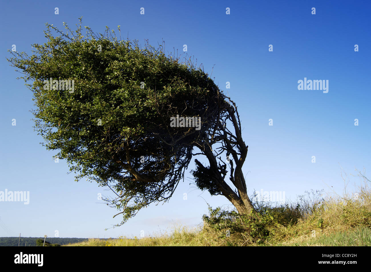 Super wind hi-res stock photography and images - Alamy