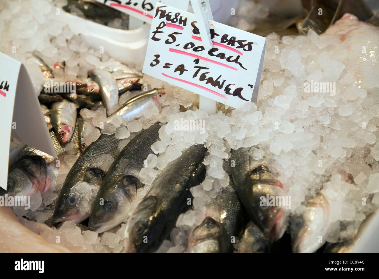 British bass fish hi-res stock photography and images - Alamy