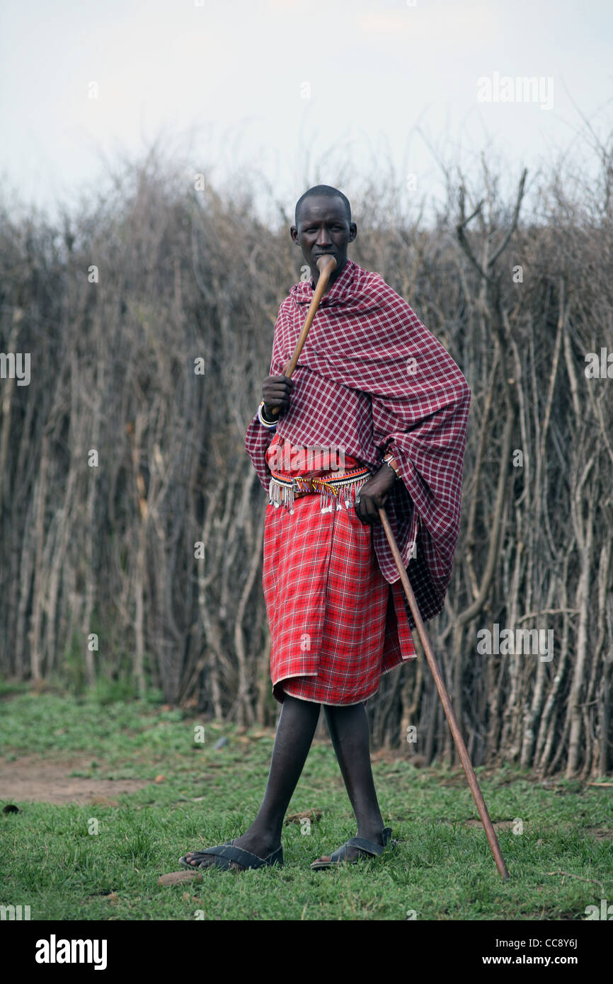 Masai man with a knobkerrie by his village perimeter fence, Masai Mara ...