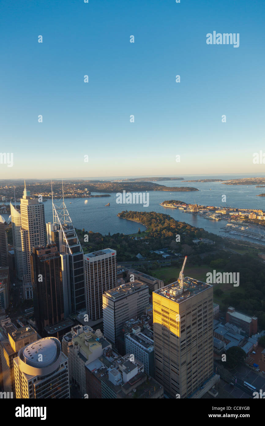 Sydney bay and CBD downtown from Sydney Tower Eye Stock Photo - Alamy