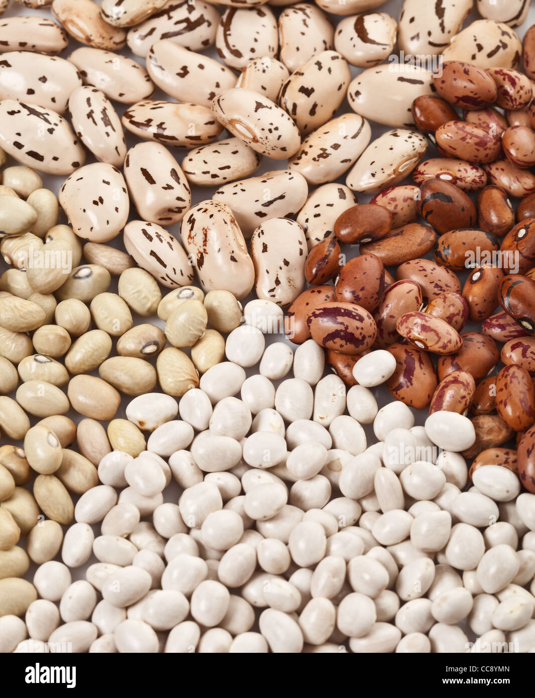Four kinds of beans close up Stock Photo - Alamy