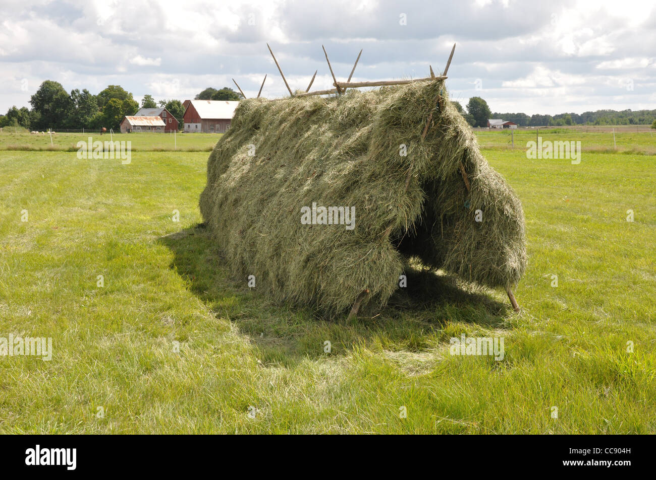 Hay drying rack on field hi-res stock photography and images - Alamy