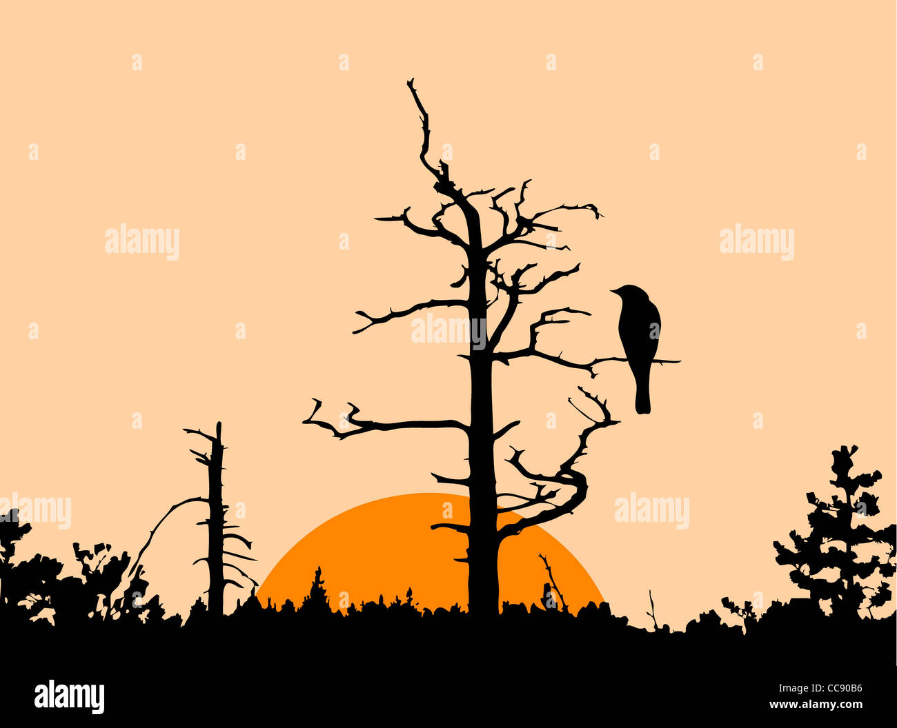 vector silhouette of the bird on dry tree Stock Photo - Alamy