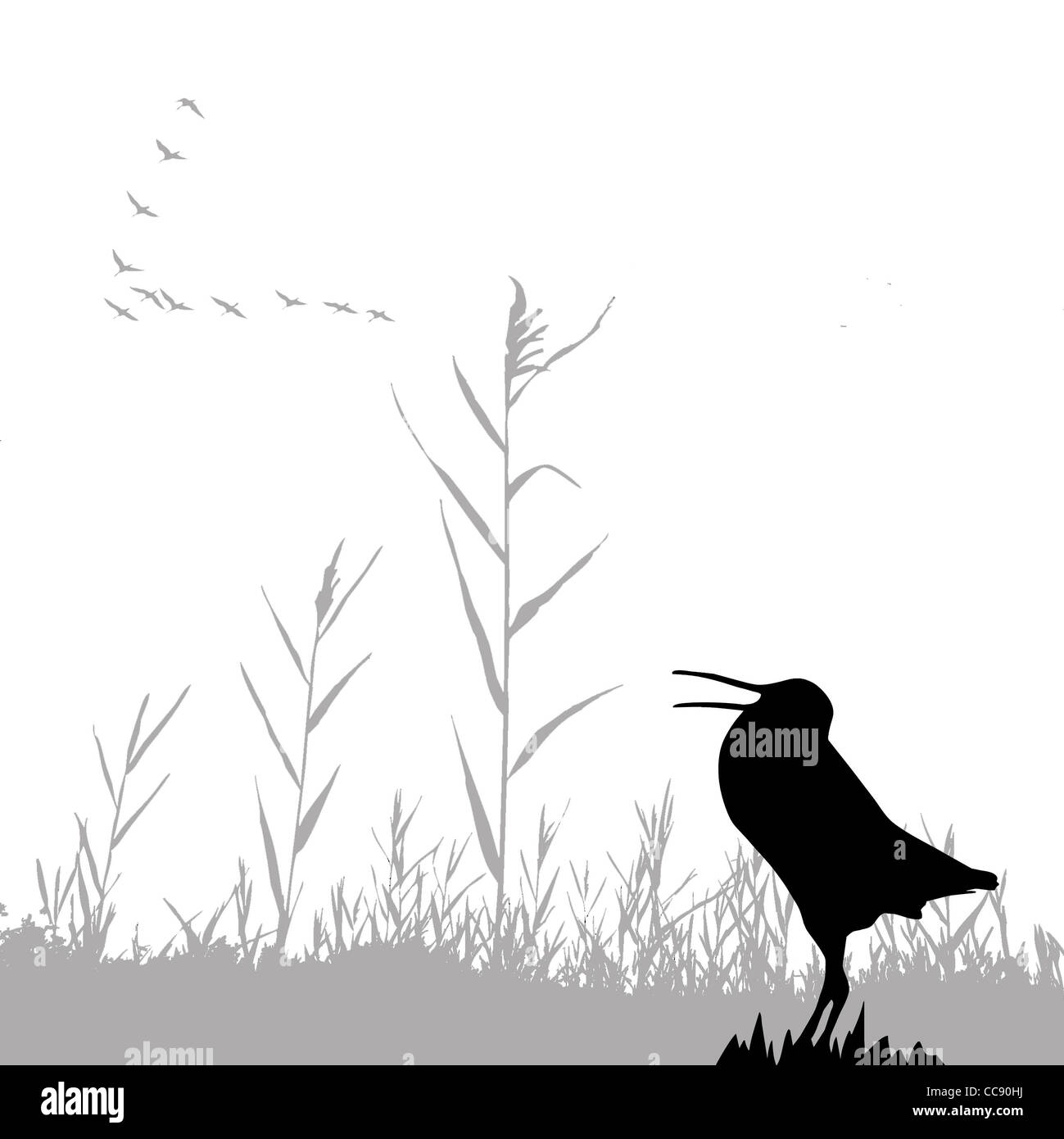 Snipe sign hi-res stock photography and images - Alamy