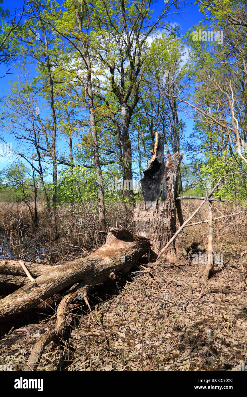 Tumbled hi-res stock photography and images - Alamy