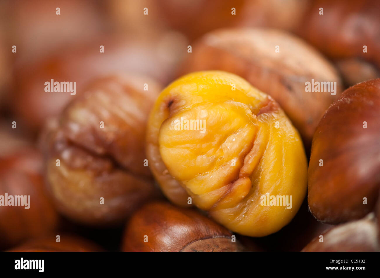 single peeled roasted chestnut kernel with others waiting Stock Photo ...