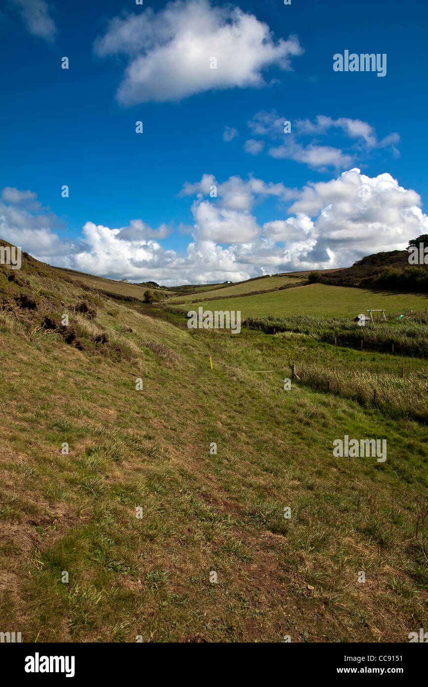 landscape next to Polzeath beach Stock Photo - Alamy