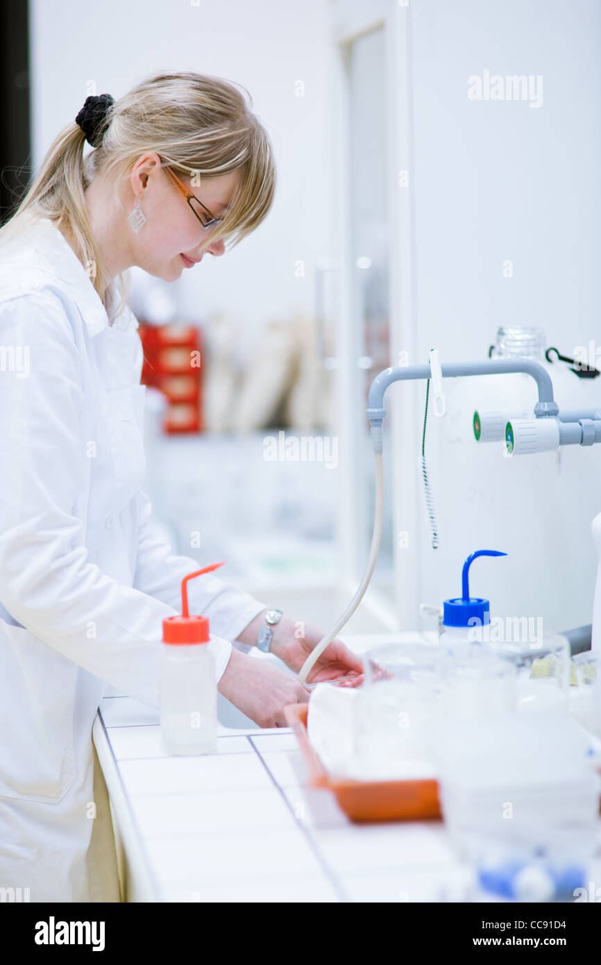 female researcher carrying out research experiments in a chemistry lab ...