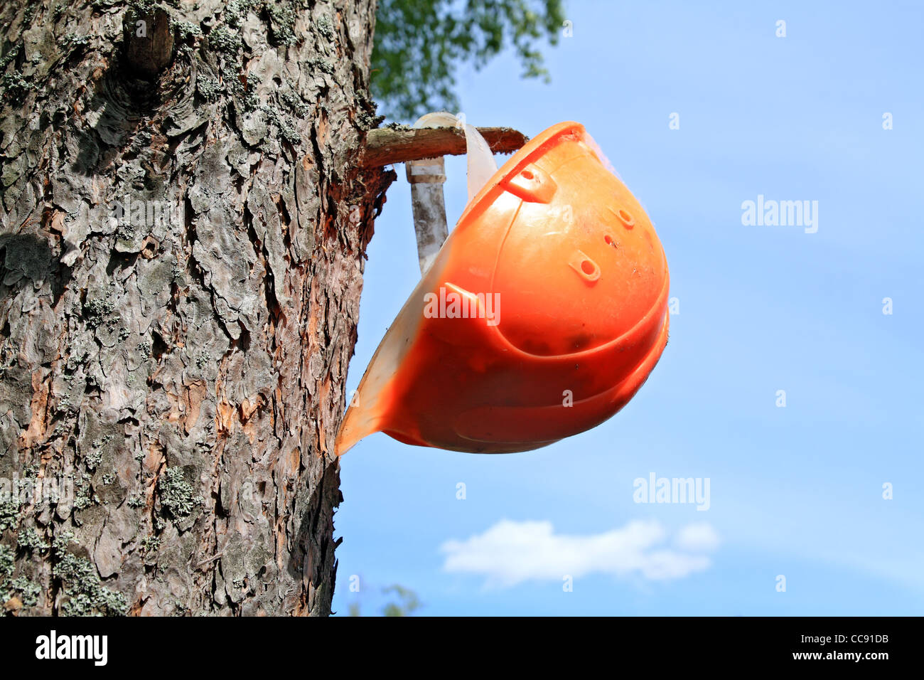helmet of the woodsman on tree Stock Photo - Alamy
