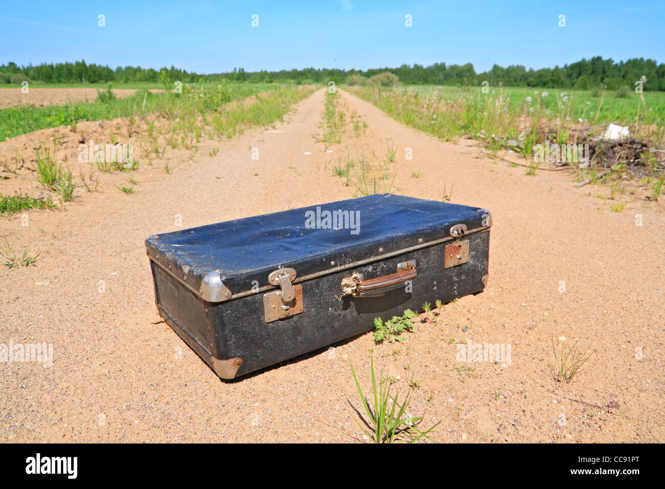 Old valise on herb hi-res stock photography and images - Alamy