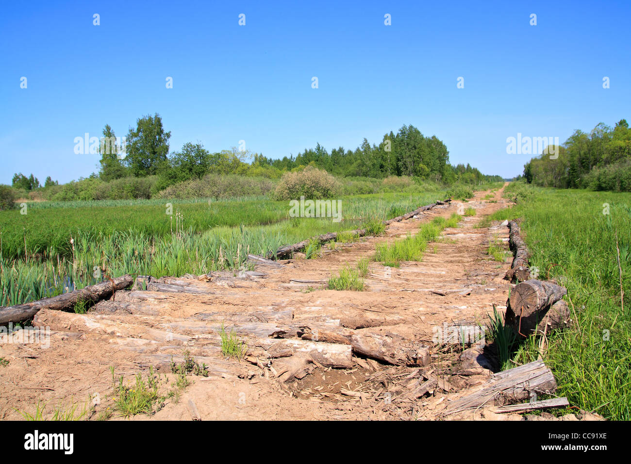 rural wooden дорона through marsh Stock Photo - Alamy