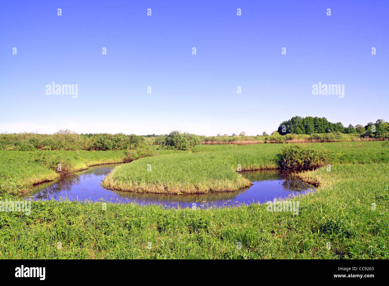 River water on field hi-res stock photography and images - Alamy