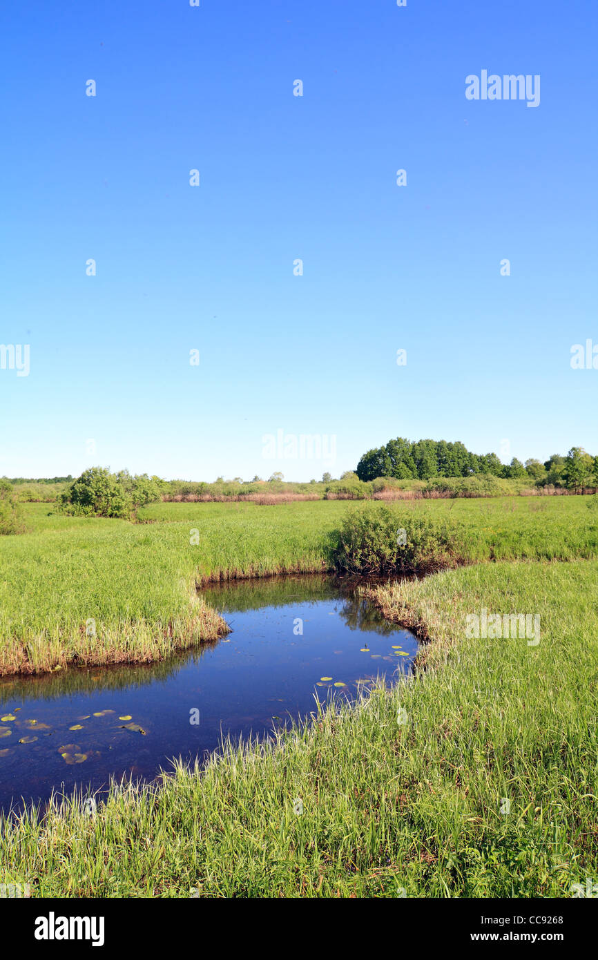 River water on field hi-res stock photography and images - Alamy