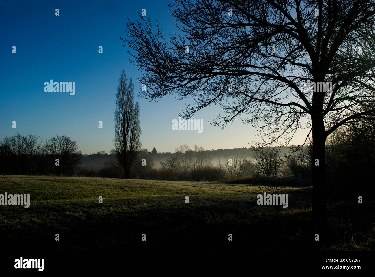 A frosty morning in Lloyd Park, Croydon, Surrey, UK. Landscape image ...