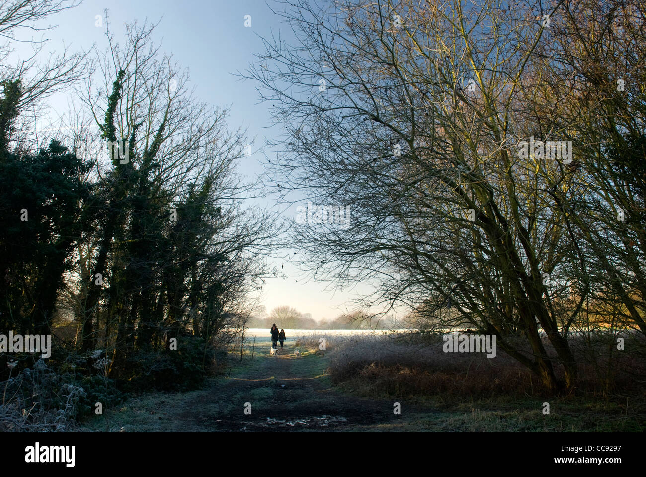 A frosty morning in Lloyd Park, Croydon, Surrey, UK. Landscape image ...