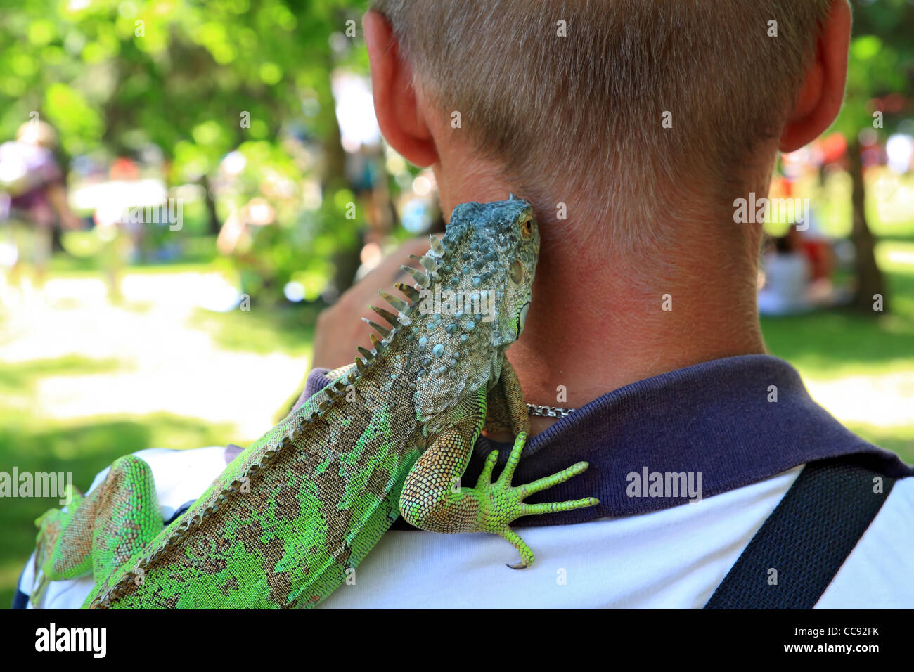 Papua ecuador hi-res stock photography and images - Alamy