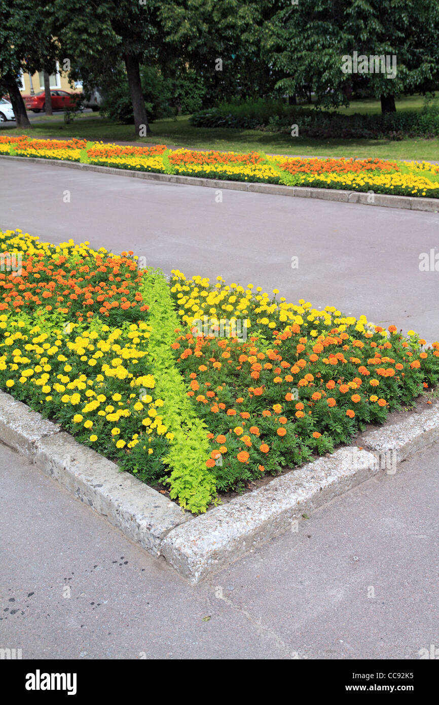 lawn in town park Stock Photo - Alamy