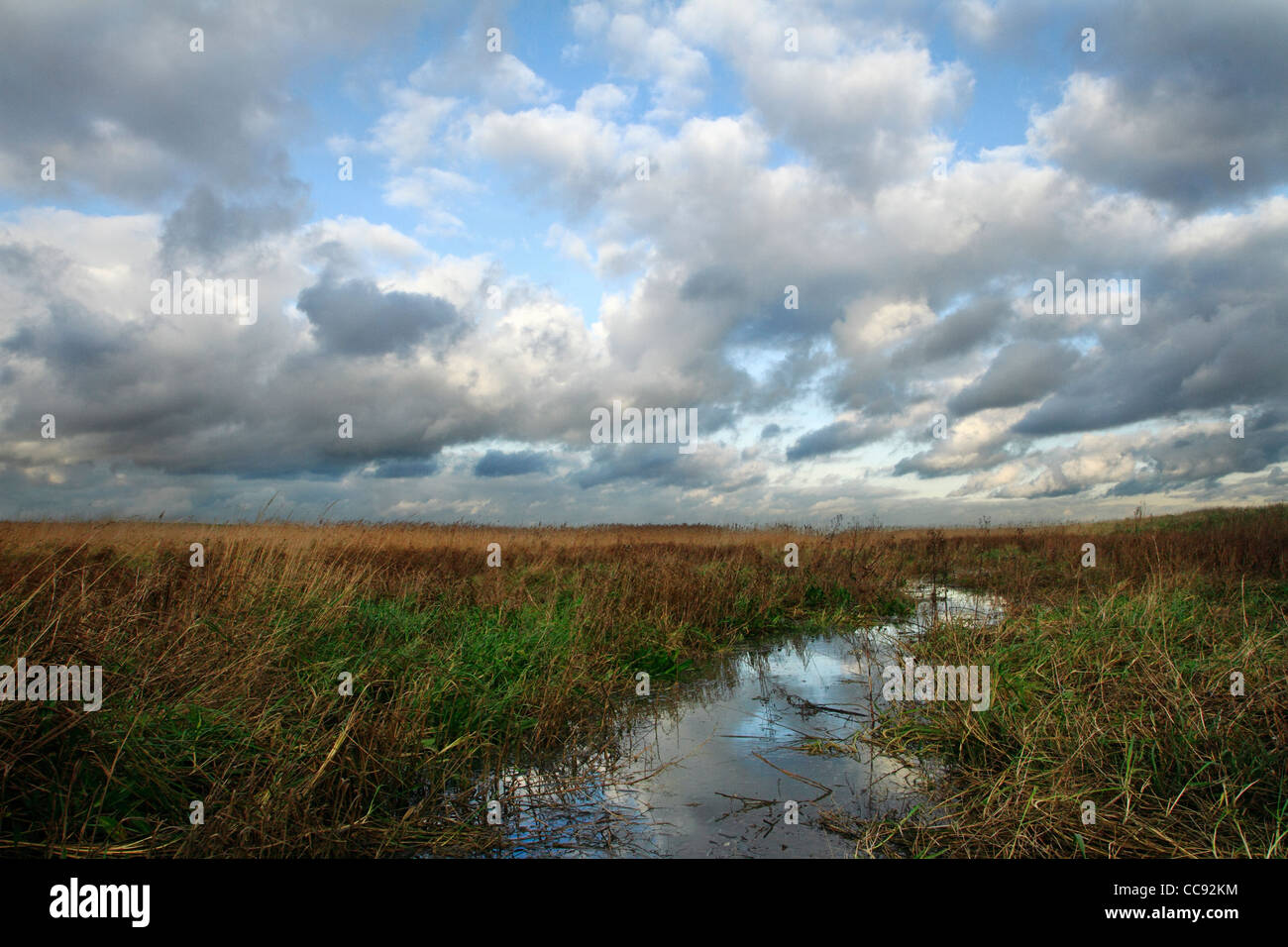 Erith hi-res stock photography and images - Alamy