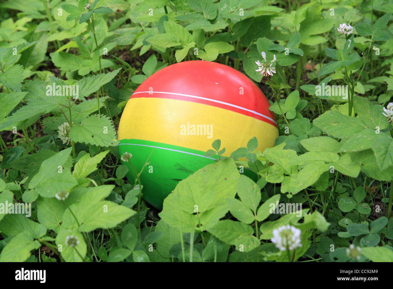 baby ball in green herb Stock Photo - Alamy