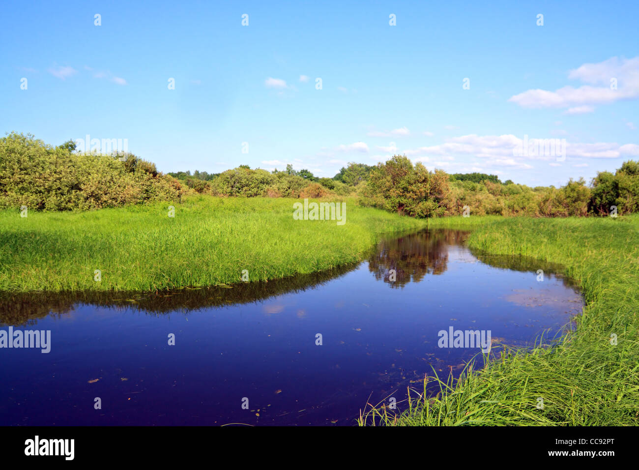 small river on summer field Stock Photo - Alamy