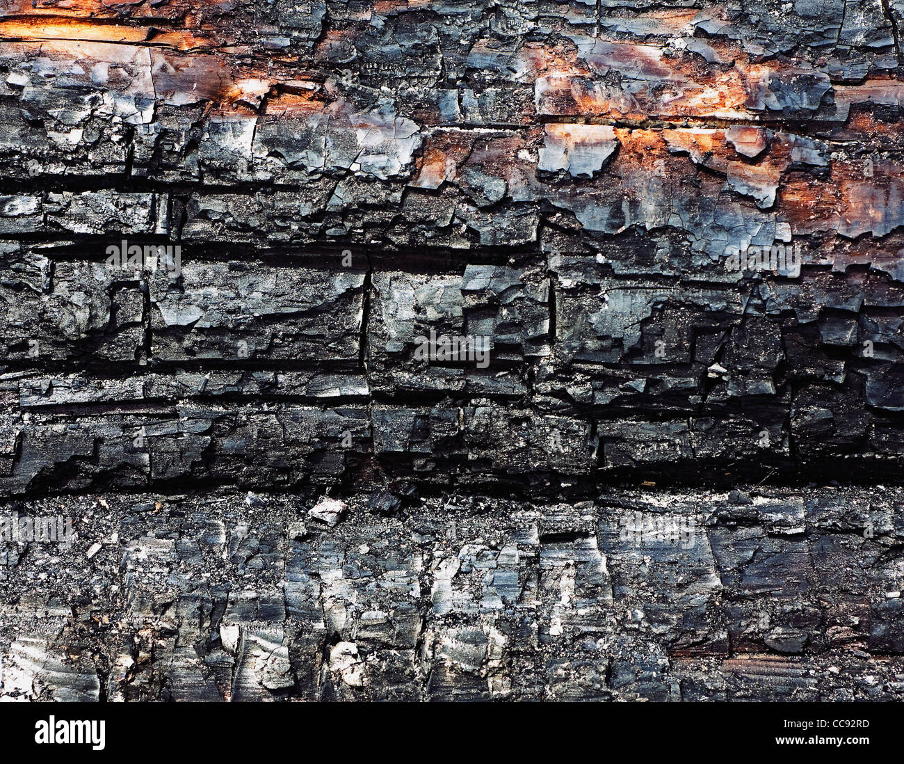 Burned log hi-res stock photography and images - Alamy