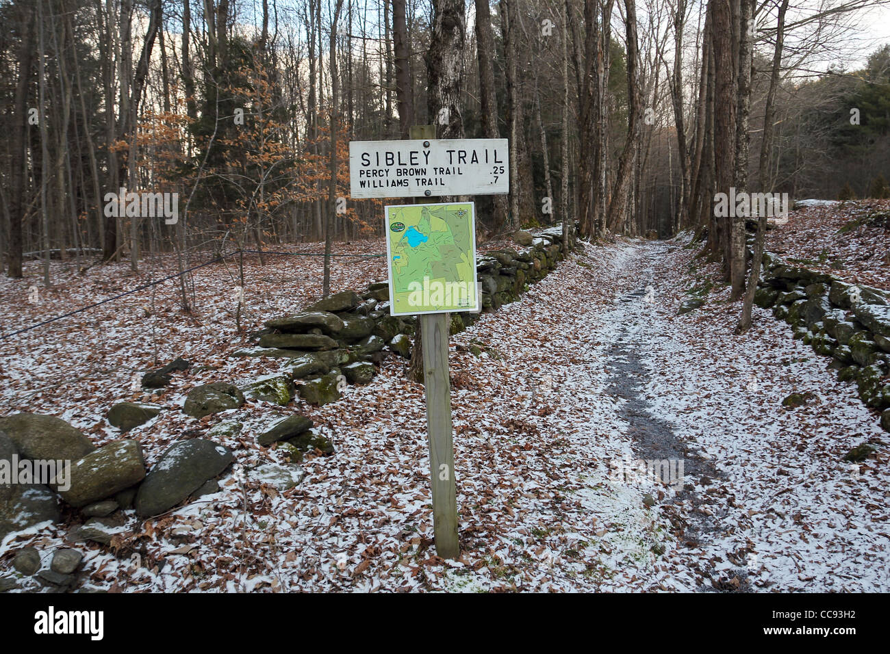 A walking trail through the woods in winter Stock Photo - Alamy